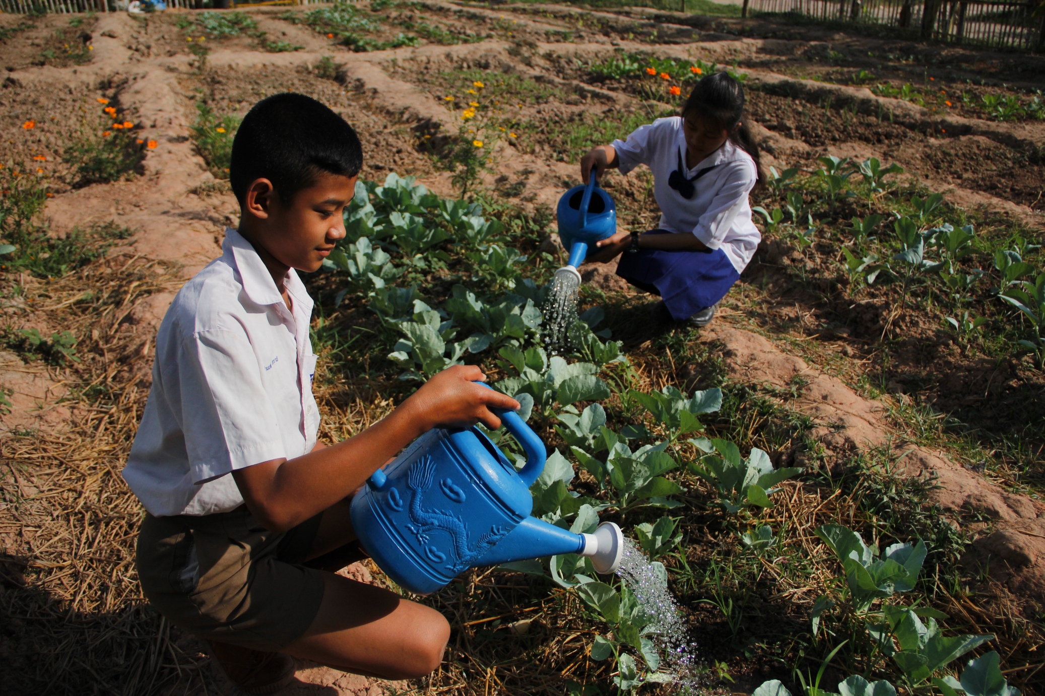 World Vision Foundation of Thailand